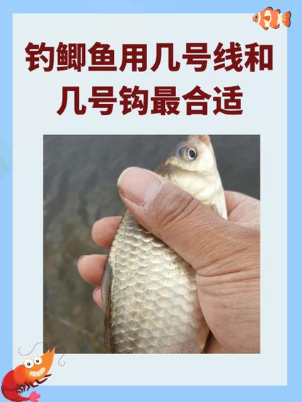 野钓鲫鱼用几号主线和子线图标