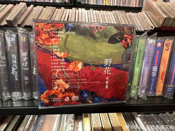 《野花》原唱最火的十首歌图标