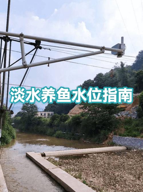 室外30厘米高水位养什么鱼