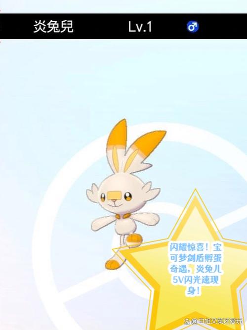 宝可梦剑盾age作弊码图标