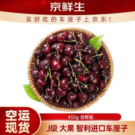 车厘子价钱图标
