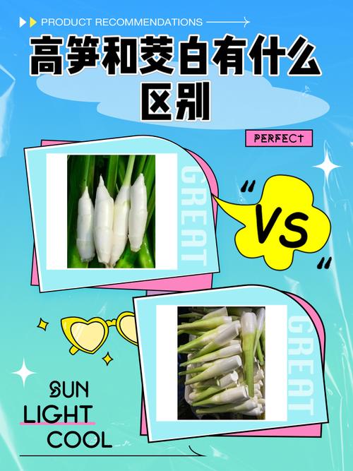 日版跟国行有什么区别图标