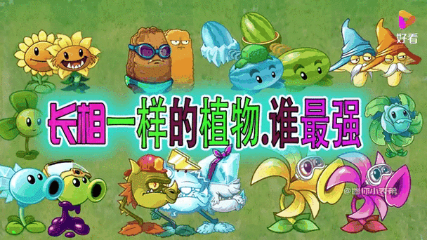 植物大战僵尸多少年