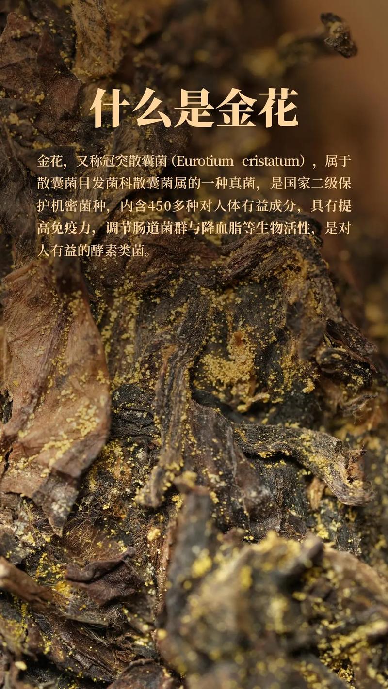 三人炸金花截图