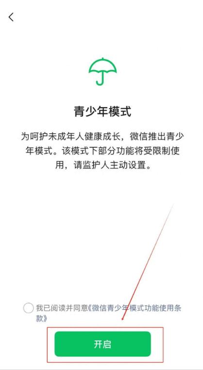 青少年模式解除方法图标