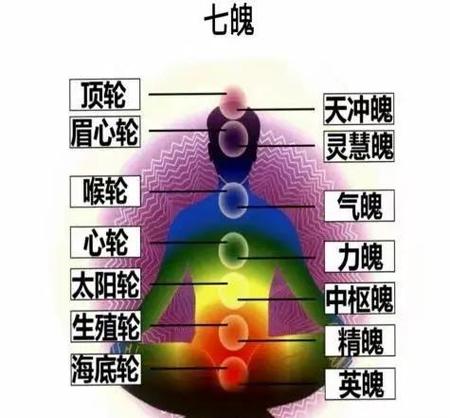 人体如何储存能量图标