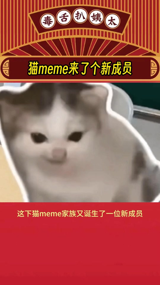 猫meme竖大拇指图标