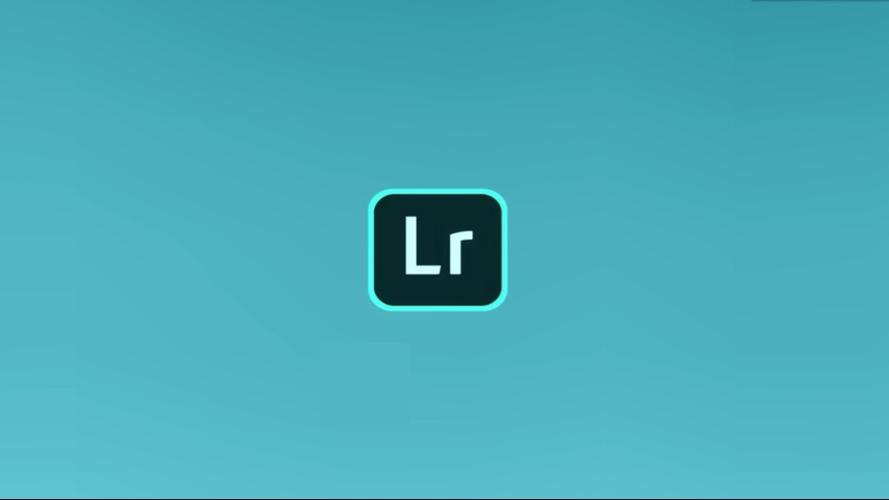 lr官方正版下载截图