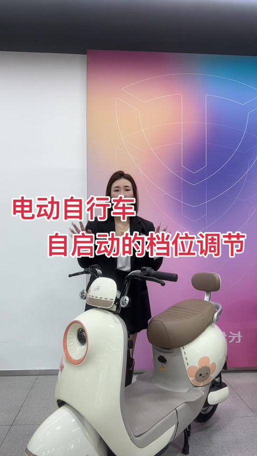 电动自行车怎么调高速档图标