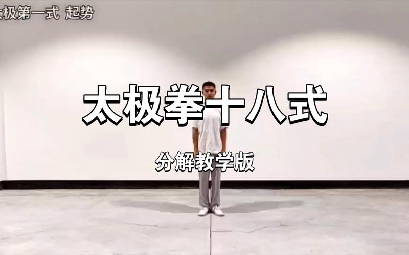 太极十八式分解教学视频图标