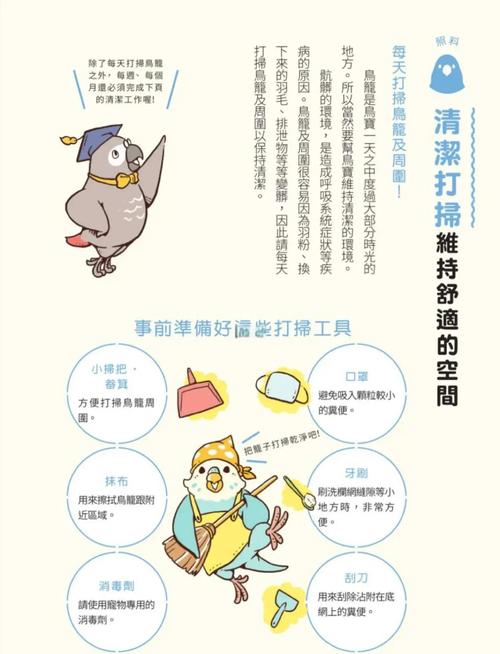 养什么鸟最干净又好养图标