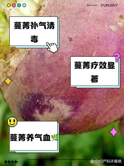 蔓菁的功效和作用图标