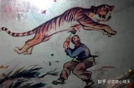 人有刀能打赢老虎吗截图