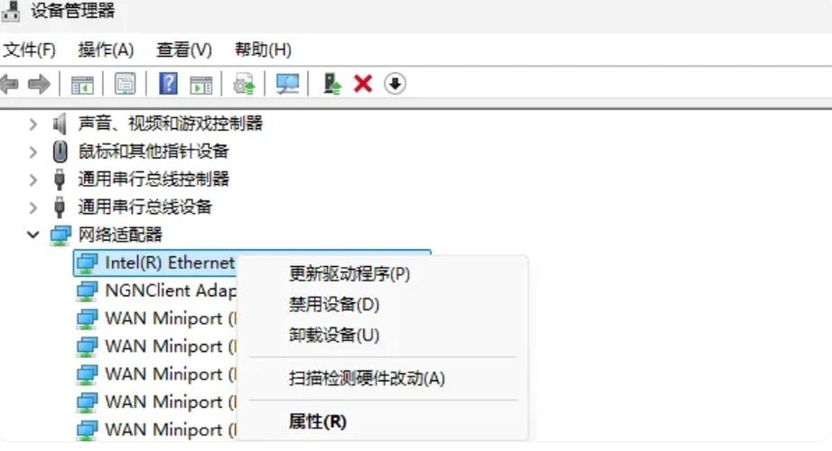 饥荒单机版闪退问题怎么解决图标