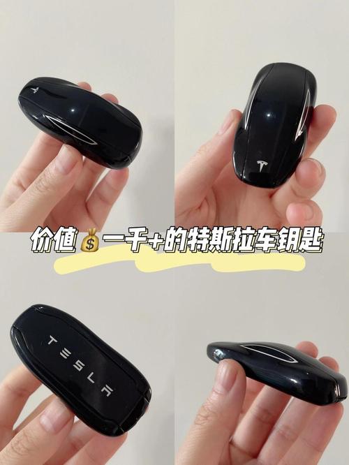 特斯拉有车钥匙嘛图标