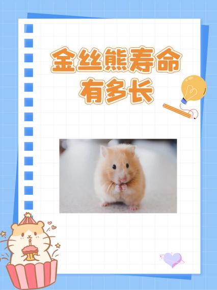 金丝熊有狂犬病能活几天图标