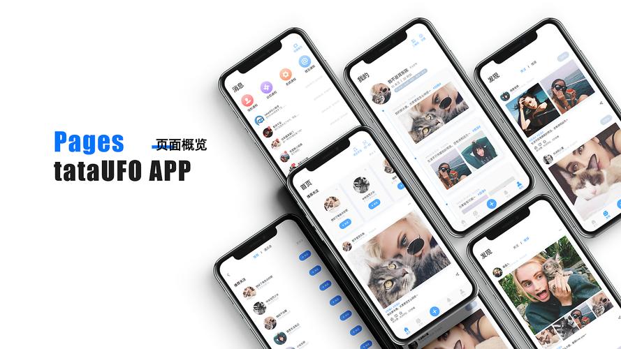 tataufo目前发展图标