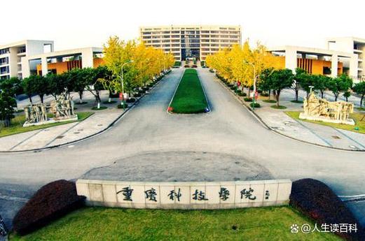 重庆科技大学信息门户图标