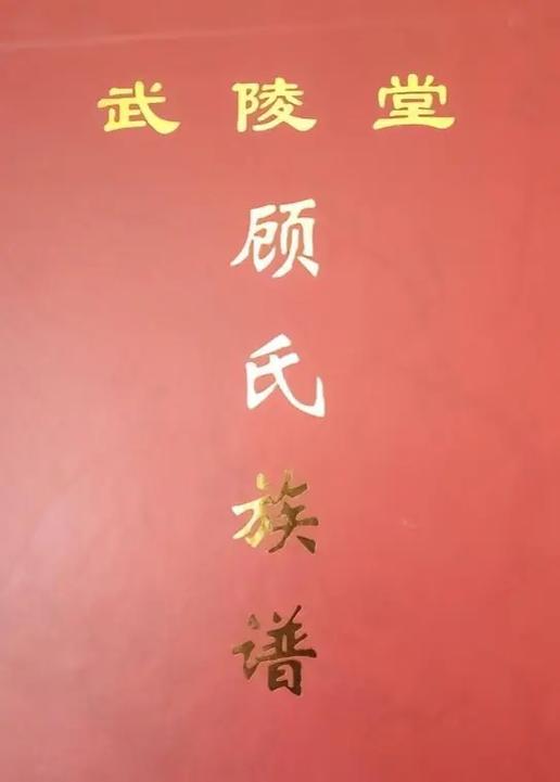 男主叫萧衍女主姓顾的小说图标