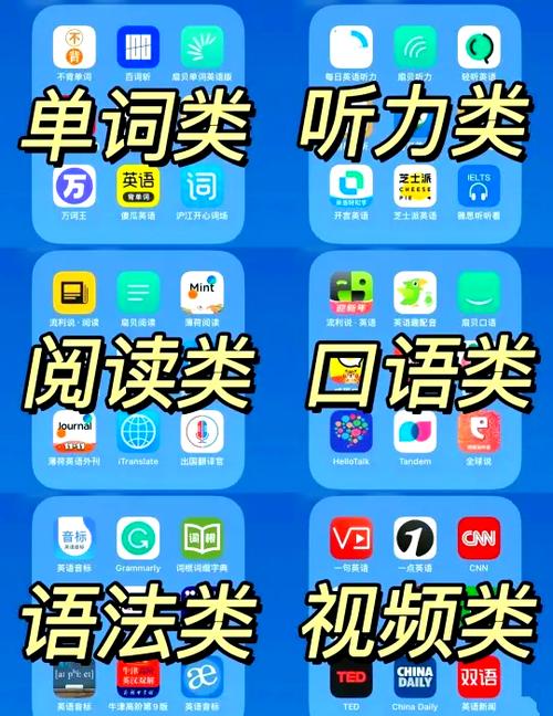 单词软件app哪个好图标