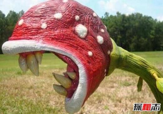 世界最大的食人花截图