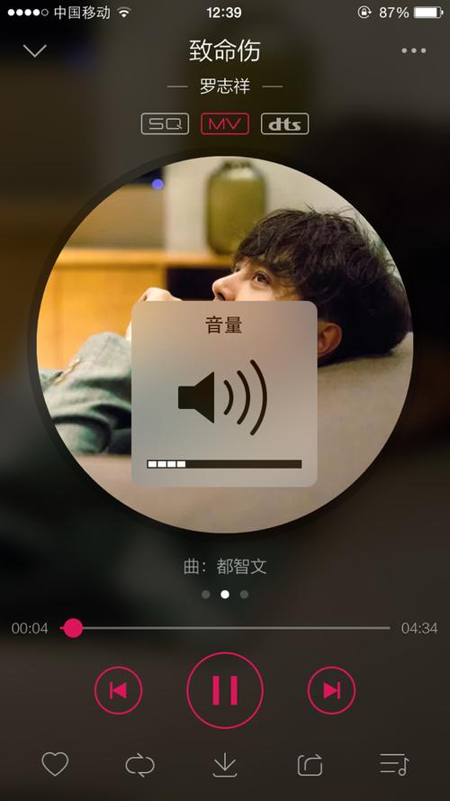 qq音乐分享vip歌曲到朋友圈图标