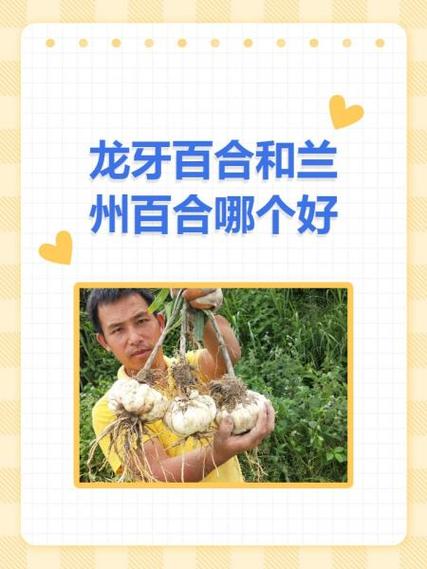 龙牙适合什么人佩戴图标