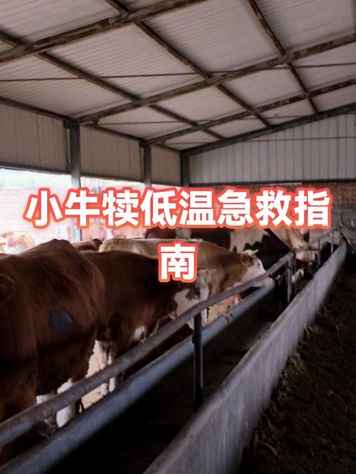 人体温度低于35度怎么办图标