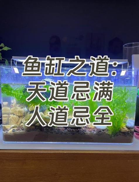 鱼缸尺寸最忌三种截图