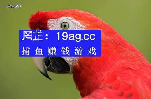 集结号充值中心