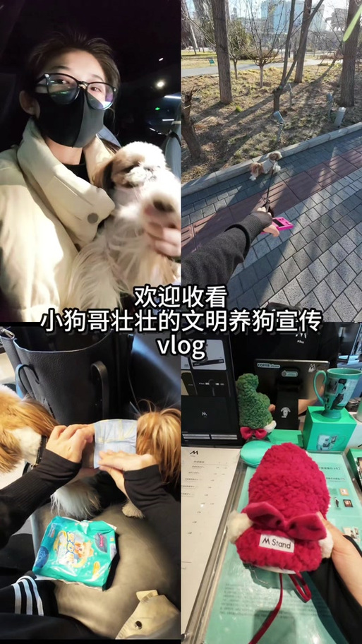 我的世界如何养狗截图