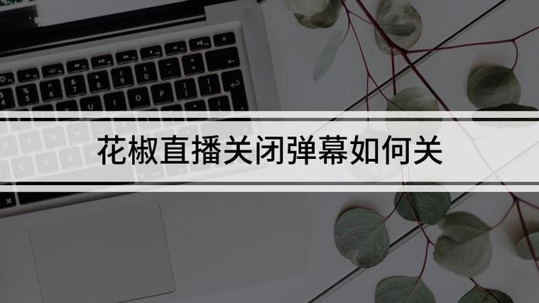 花椒直播怎样关闭弹幕图标