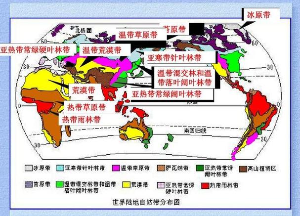 世界三大雨林分布区是截图