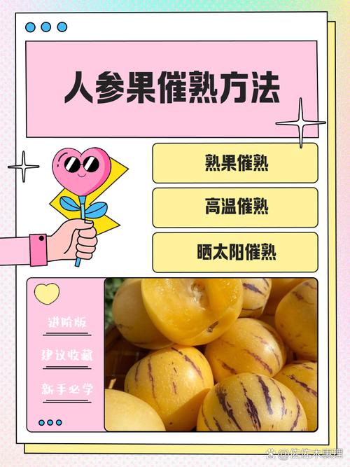 人参果催熟的方法