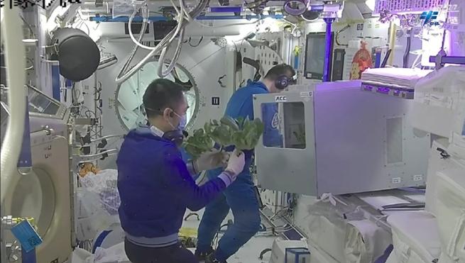 空间站上的菜园截图
