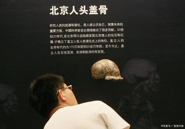 猜字谜语和答案的历史图标