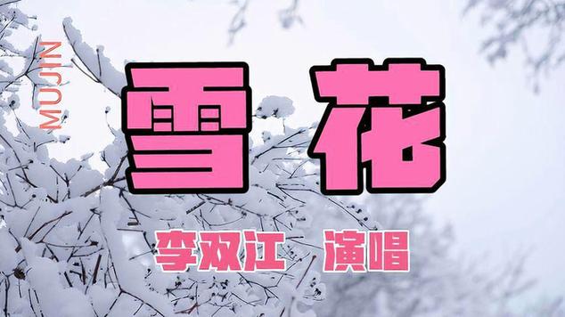 雪花的经典十首歌图标