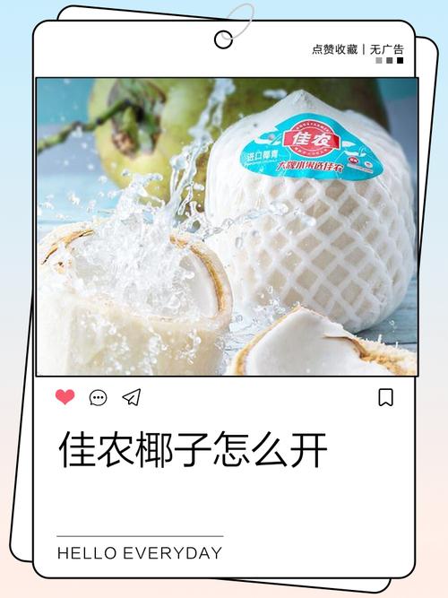 椰子官网怎么抢