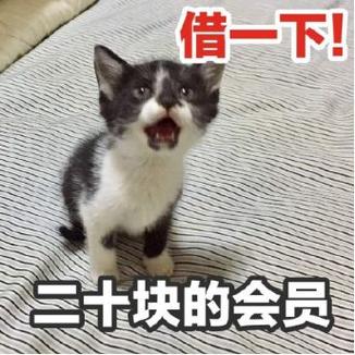 借会员朋友表情包截图