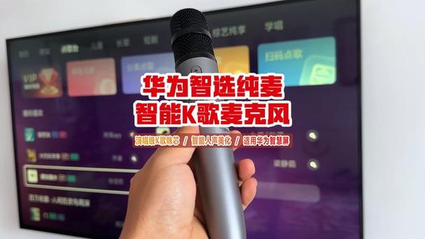 纯麦麦克风设置图标
