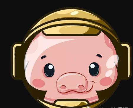 pig币猪币图标