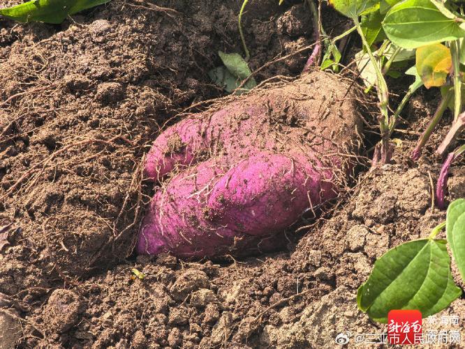 致富宝app官方下载图标