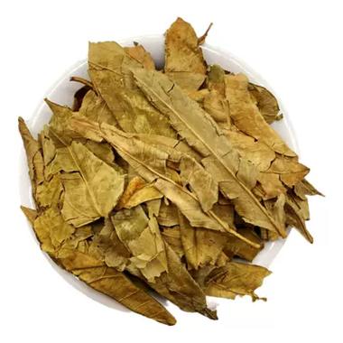 橘子叶泡水喝的副作用图标