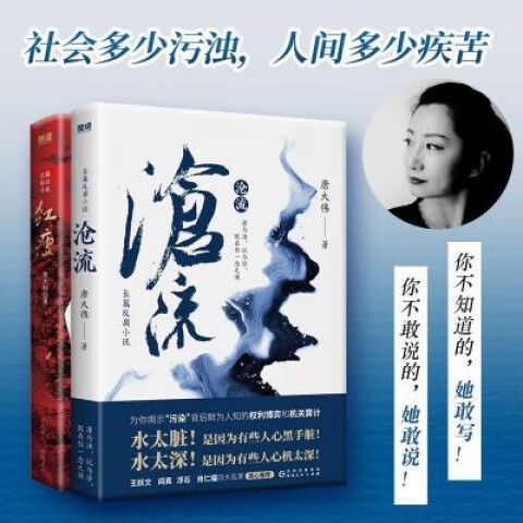 好看的长篇官场小说截图