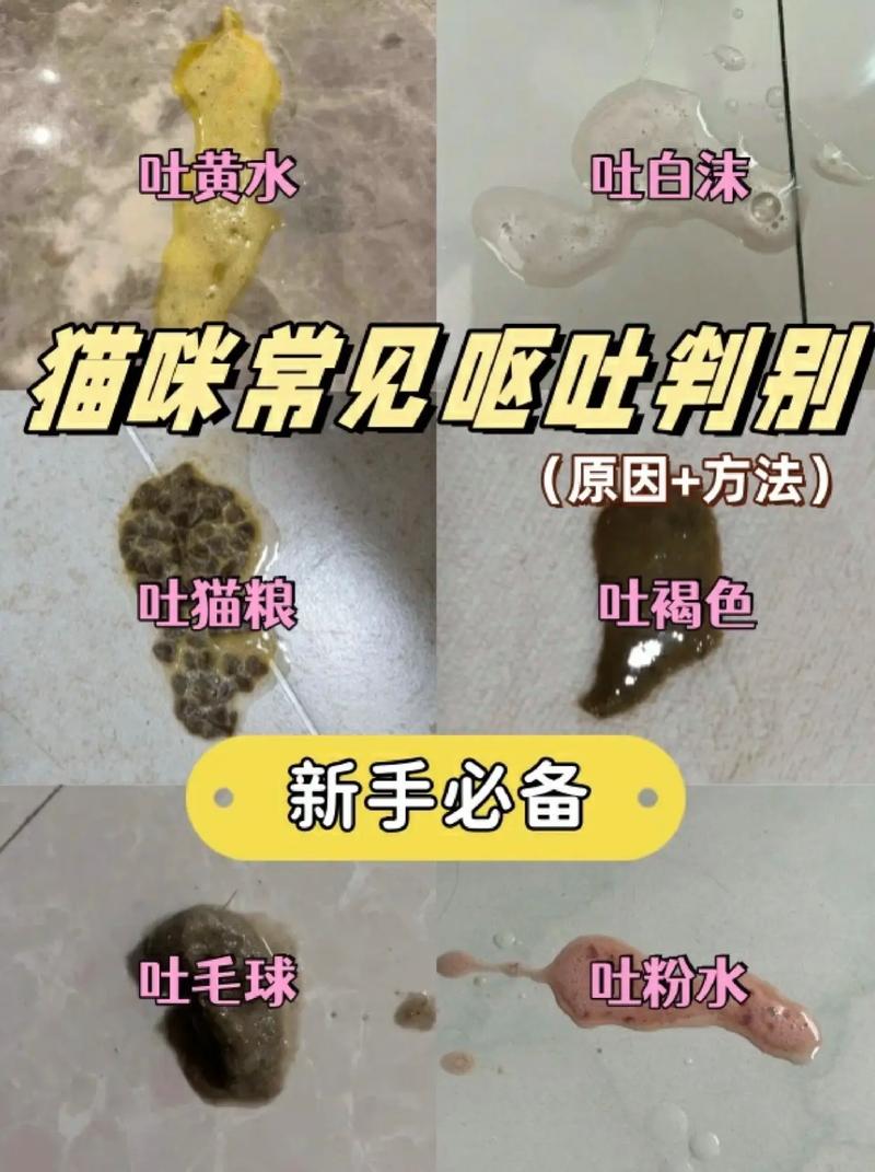 猫吐了白色黏液或泡沫吃什么药图标