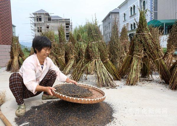 那里收取芝麻截图