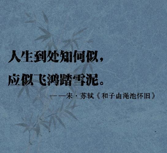 和渑湿类似的作者图标