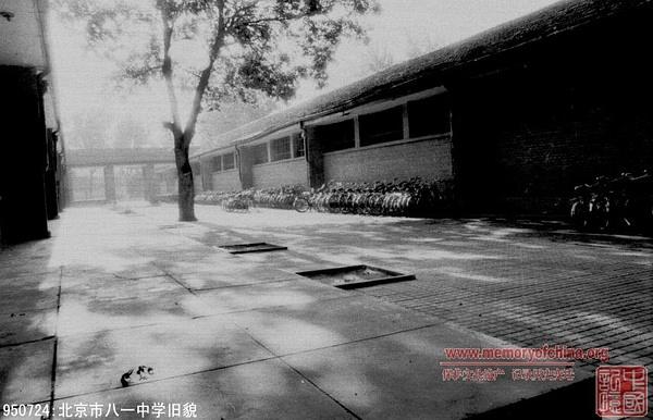 黑白校园截图