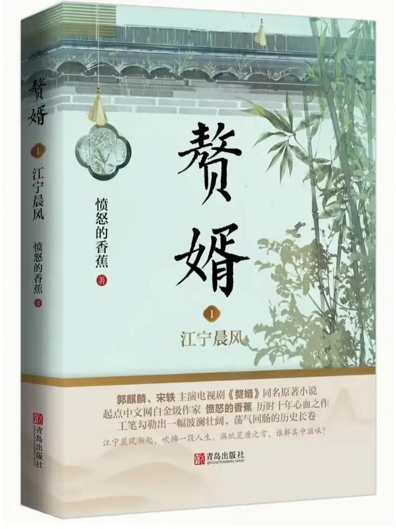 最佳赘婿小说更新太慢图标