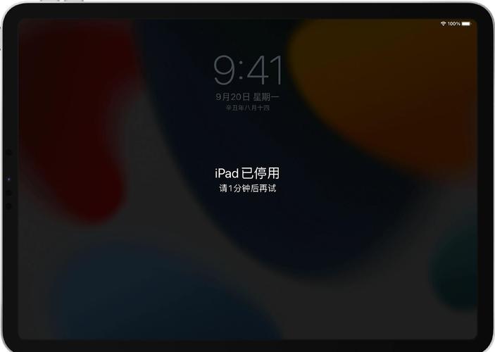 ipadapp限额密码忘了截图